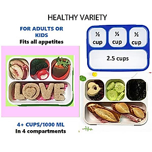 Bento Lunch-Box for Kids and Adults: Leakproof Lunch Boxes with 4 Compartments, Divided Containers for Boys Girls Women Men - School Work Portion Container, Utensils, Blue + Rose Pink Set