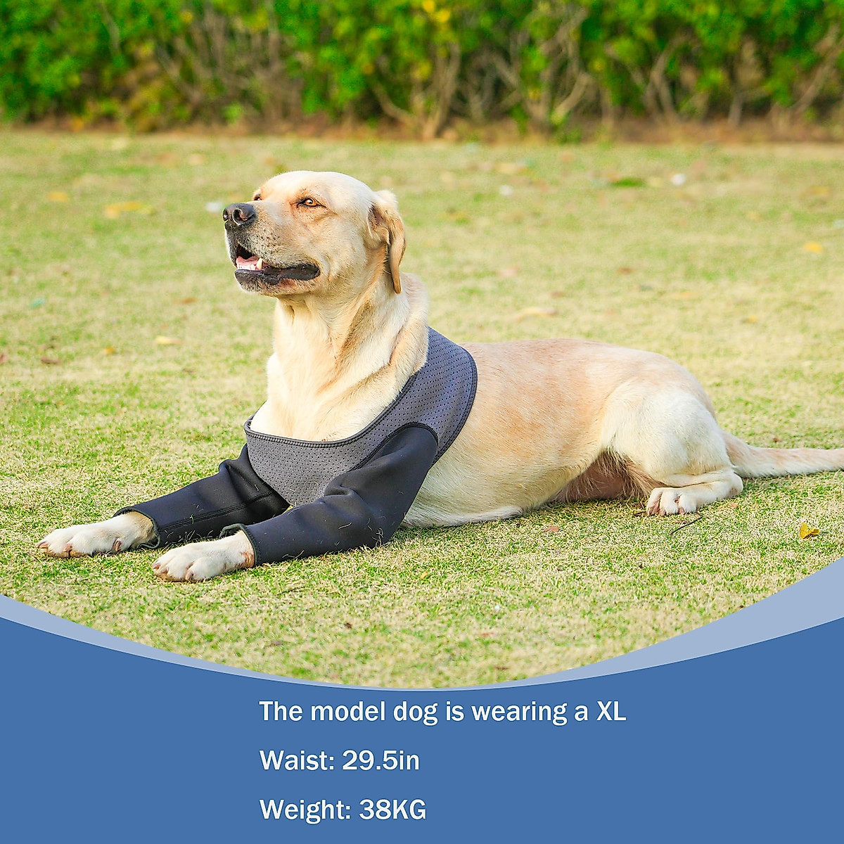 Dog Sleeves for Wounds Both Front Legs，Cone Collar Alternative, Abrasion Resistant Dog Recovery Sleeve, Washable 2.5mm Thick and Waterproof, Breathable Pet Wounds Prevent Licking, Bite Grey (Large)