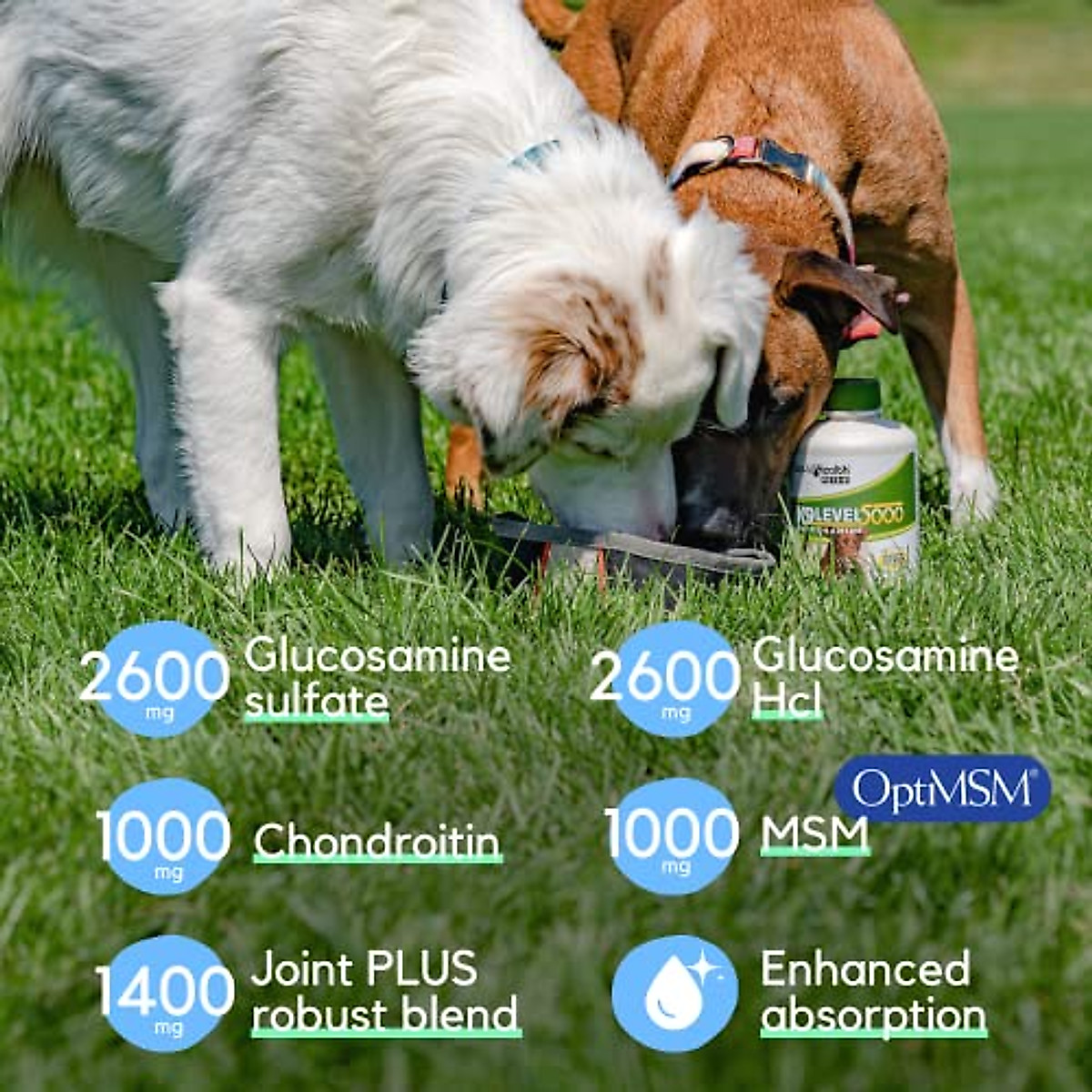 LIQUIDHEALTH 32 Oz K9 Liquid Glucosamine for Dogs Level 5000 with Glucosamine Chondroitin, Dogs MSM, Boswellia Serrata – Dog Hip and Joint Health, Dog Vitamins for Dog Joint Pain, Dog Joint Oil