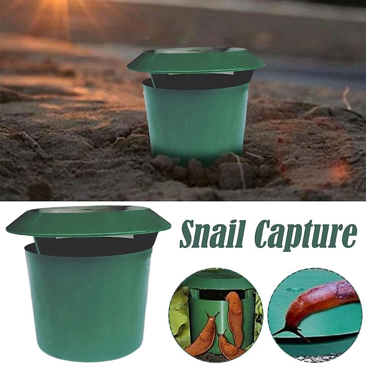 Slug & Snail Plastic Box, Snails C*tcher, Beer Slug Snail T-aps, Reusable Plastic Snail Box, Slug House Garden Farm Protector (5pcs)