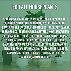 Ben's Home & Garden Everything Indoor Plant Food with Kelp | Liquid Concentrate Indoor Plant Fertilizer 3-3-3 All Purpose Plant Food for House Plants (8 Ounce)