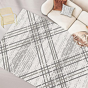 FINOREN Artistic Abstract Area Rug.Lines-Grey,4'x6', Suitable for Bedroom, Living Room, Apartment, Machine Washable Non-Slip Soft Modern Interior Rug,Smudge-Proof, Non-Shedding.