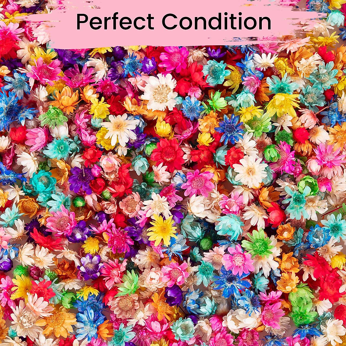 900 PCS Small Dried Flowers for Crafts Resin - Tiny Dried Flowers for Nails, Natural Real Dried Pressed Flowers Bulk for DIY Jewelry Earrings Epoxy Molds, Candles Making, Soap Making