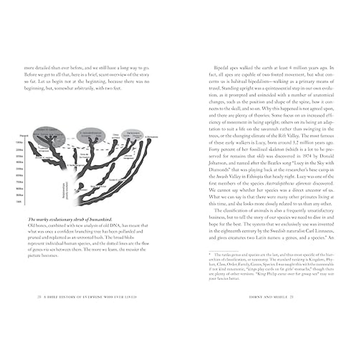 A Brief History of Everyone Who Ever Lived: The Human Story Retold Through Our Genes