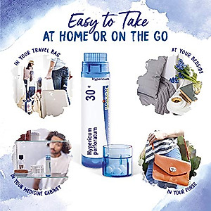 Boiron Hypericum Perforatum 30C Homeopathic Medicine for Relief from Nerve Pain, Toothaches, Pain in Legs or Back, and Shooting Pains - 3 Count (240 Pellets)