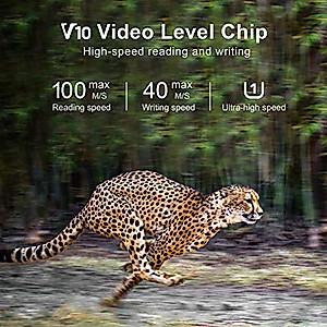 LaView 64GB Micro SD Card, Micro SDXC UHS-I Memory Card – 100MB/s,667X,U1,C10, FHD Video V10, A1, FAT32, High Speed Flash TF Card P500 for Computer with Adapter/Camera/Phone/Drone/Dash Cam/Tablet/PC