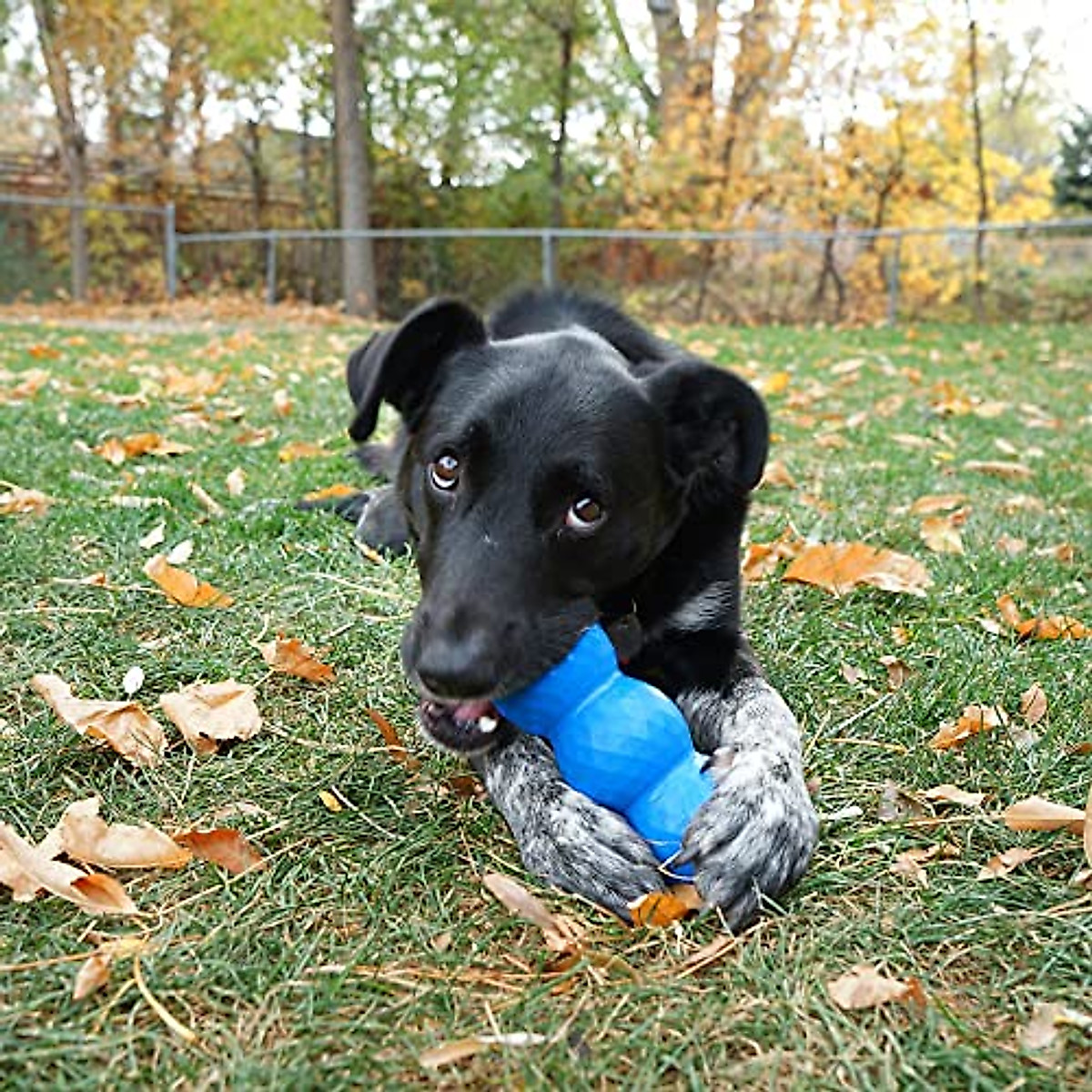 KONG - Genius Mike - Interactive Treat Dispensing Dog Puzzle Toy - For Large Dogs (Assorted Colors)