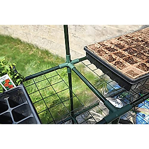 Miracle-Gro 4'8" x 4'8" x 6'5" All-Season Small Walk-in Greenhouse with 8 Wire Shelves for Outdoors, Easy-Access and Durable, Translucent