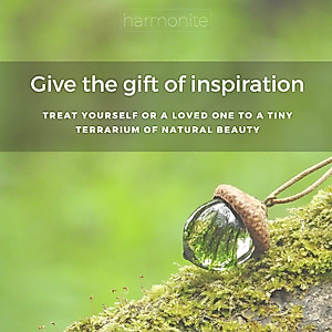 HARMONITE English Acorn Pendant Necklace for Women and Men. Handmade Natural Gift of Moss Jewelry for Motherhood, Maternity, or as Spiritual Unique Gifts Set in Eco Resin