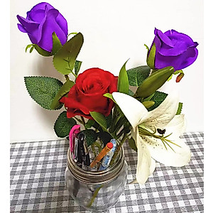 6 Pieces Mason Jar Wide Mouth Mesh Strainer Sprouting Lids Stainless Steel Flower Jar Insert Lids for Canning Jars Seed Sprouting Salad Sprouts & Flower Organizer Insert Lid Kit