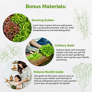 Organo Republic 18 Lettuce & Salad Greens Seeds Variety Pack 9200+ Non-GMO Heirloom Lettuce Seeds for Indoors & Outdoors Garden, Hydroponics, Aerogarden - Arugula, Kale, Spinach, Swiss Chard, Lettuce