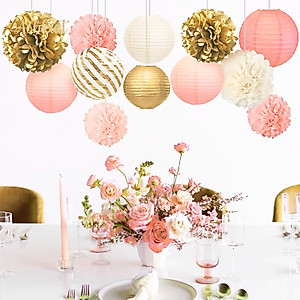 AOBKIAT Birthday Party Decorations Set for Girls Women,12PCS Pink Gold Tissue Paper Pom Poms Lanterns Flowers,for Engagement,Wedding,Baby Shower,Bridal Shower,Princess Party