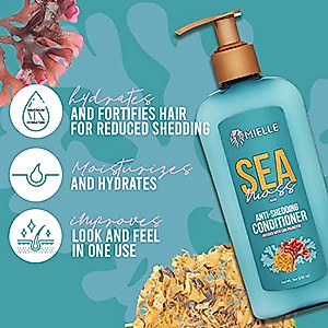 Mielle Organics Sea Moss Anti-Shedding Conditioner