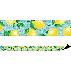 Teacher Created Resources Lemon Zest Magnetic Border (TCR77455)