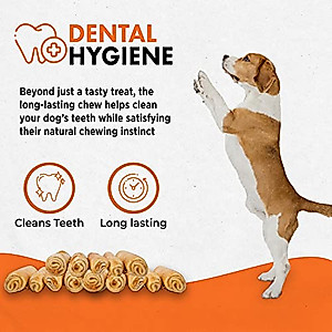 Canine Naturals Chicken Recipe Chew - Rawhide Free Dog Treats - Made from USA Raised Chicken - All-Natural and Easily Digestible - 6 Pack of 2.5 Inch Mini Rolls, Dogs Under 20 lb