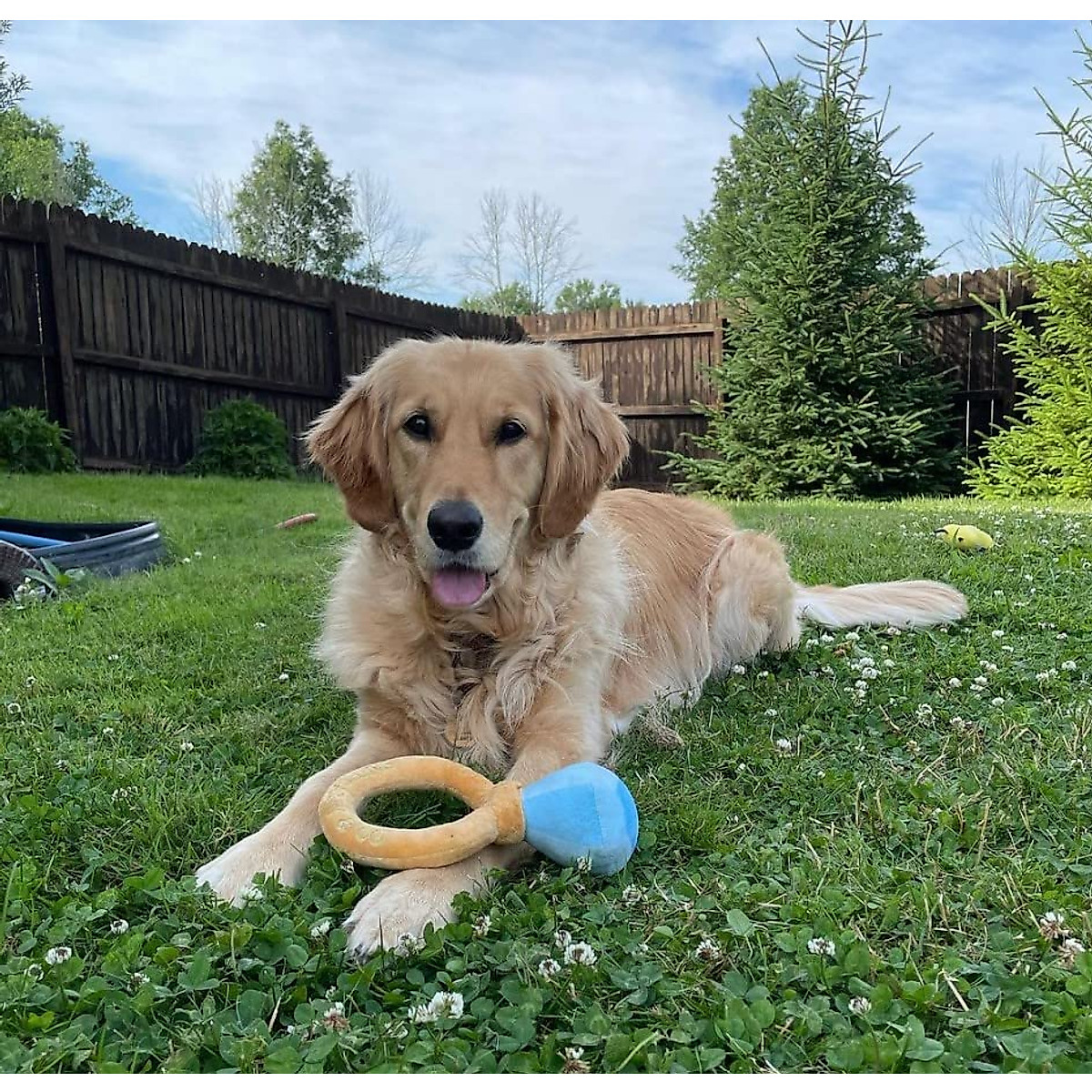 Fuzzyard Valentine's Day Dog Toy, Squeaky and Crinkle for Small, Medium and Large Breed Dogs (Diamond Ring)