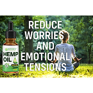 NATURE'S BENEFICIALS Organic Hemp Oil Extract Drops, 500mg - Omega Fatty Acids 3 6 9, Non-GMO Ultra-Pure & CO2 Extract Drops