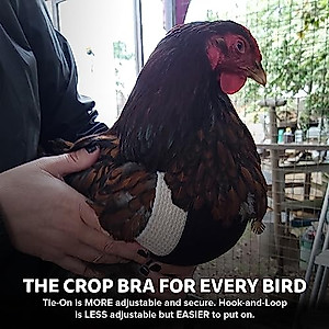 Birdy Bra Standard Chicken Hook-and-Loop Crop Bra, Black