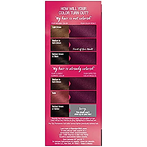 Garnier Hair Color Sensation Rich LongLasting Color Cream, 4.26 Intense Burgundy, 1 Count