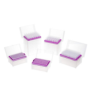 Sterile Pipette Tips, Filtered, DNAse and RNAse Free, Autoclavable - 1000 µl (10 Racks, 960 Tips)
