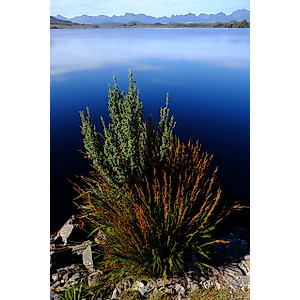 Fujinon XF14mmF2.8 R (Renewed)