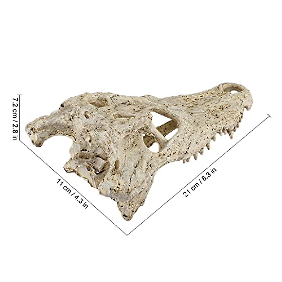 Crocodile Reptile Amphibian Skull Habitat Hide - Premium Non-Toxic Resin for Aquariums & Terrariums – Large Size
