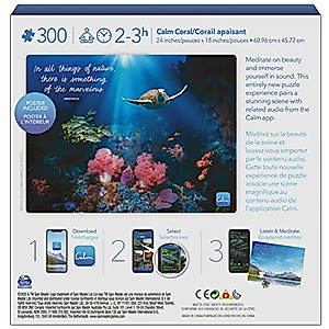 300-Piece Calm Jigsaw Puzzle for Relaxation, Stress Relief, and Mood Elevation, for Adults and Kids Ages 8 and up, Calm Coral