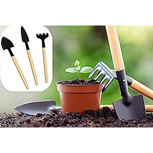 Metrmiss 1 14 Pieces Bonsai Set Succulent Garden Hand Tools with Mini Ra, w