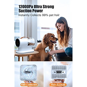 FIXR Dog Vacuum for Shedding Grooming, 12000pa Suction Dog Hair Vacuum, Pet Vacuum Grooming Kit with 2l Dust Cup, Low Noise, 3 Levels, 5 Grooming Tools