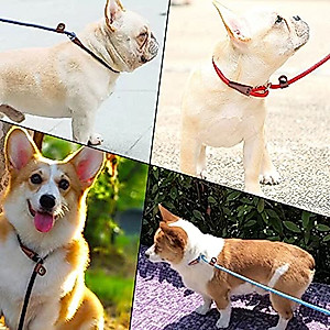 MayPaw Slip Lead Control Leash for Dogs No Pull, 13+ Colors Classic Dog Leash 7FT Pet Slip Leash, 1/4” Rope Leash for Small Medium Animals