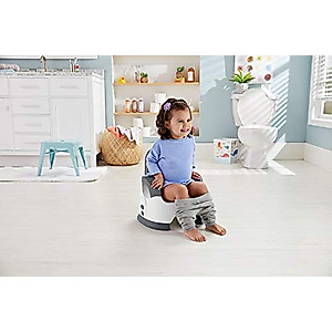 Fisher Price Custom Comfort Potty