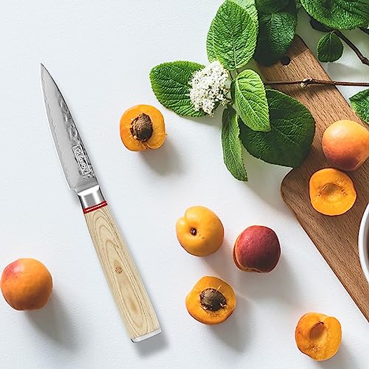 Qulajoy Paring Knife - Japanese Paring Knife with VG10 Damascus Steel, Ultra Sharp 3.5 inch Fruit and Vegetable Knife, Ergonomic Wood Handle