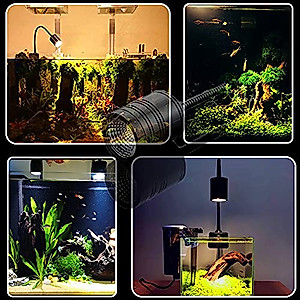 LED Aquarium Light - Freshwater Fish Tank Spotlight Vivarium Terrarium Light 3000K Warm White 4000K Natural White 6000K Cool White COB 3 Modes 5W for Corydoras, African Cichlid, Aquascaped Aquariums