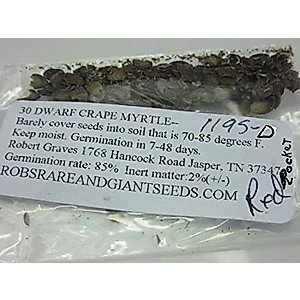 1195D-Dwarf Red-Rocket Crape Myrtle (Lagerstroemia Indica) Seeds by Robsrareandgiantseeds UPC0764425788485 Non-GMO,Organic,USA Grower,Bonsai,Showy, Butterfly Flower,1195-D Package of 10 Seeds