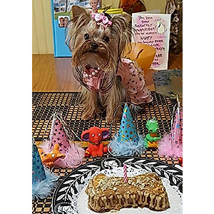 Petcakes Birthday Cake Kit For Dogs, 7" x 4.5" x 3"
