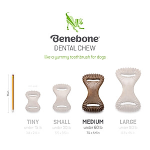 Benebone 2-pack Wishbone/Dental Durable Dog Chew Toys, Dog Toys for Aggressive Chewers, Real Bacon, Made in USA, Medium