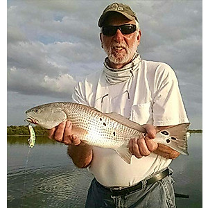 SteelShad - Original Series (3/8 oz) Perch - Bass Fishing Lures - Lipless crankbait for Freshwater Fishing - Long Casting Blade Bait Perfect for Bass, Walleye, Trout