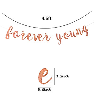 Rose Gold Glitter Forever Young Banner, Bunting Garlands for Men/Women's Birthday Party Decoration Supplies, 30th 40th 50th 60th 70th 80th Birthday Party Background Sign (Pre-Strung)