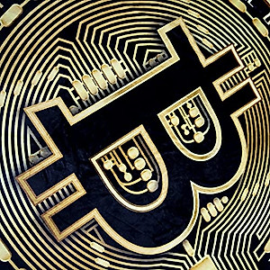 Bitcoin Cryptocurrency Coin Round Blanket- Physical Bitcoin Gift Item from The Crypto Coins Collection - 70 inch Super Soft Fleece Throw Bitcoin Blanket