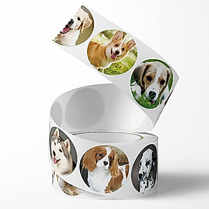 1000 Pieces Dog Stickers and Paw Print Stickers for Kids Puppy Stickers for Dog Birthday Party Supplies Decorations Adorable Labels Envelope Seal Reward Stickers 1 Inch Diameter in 14 Designs