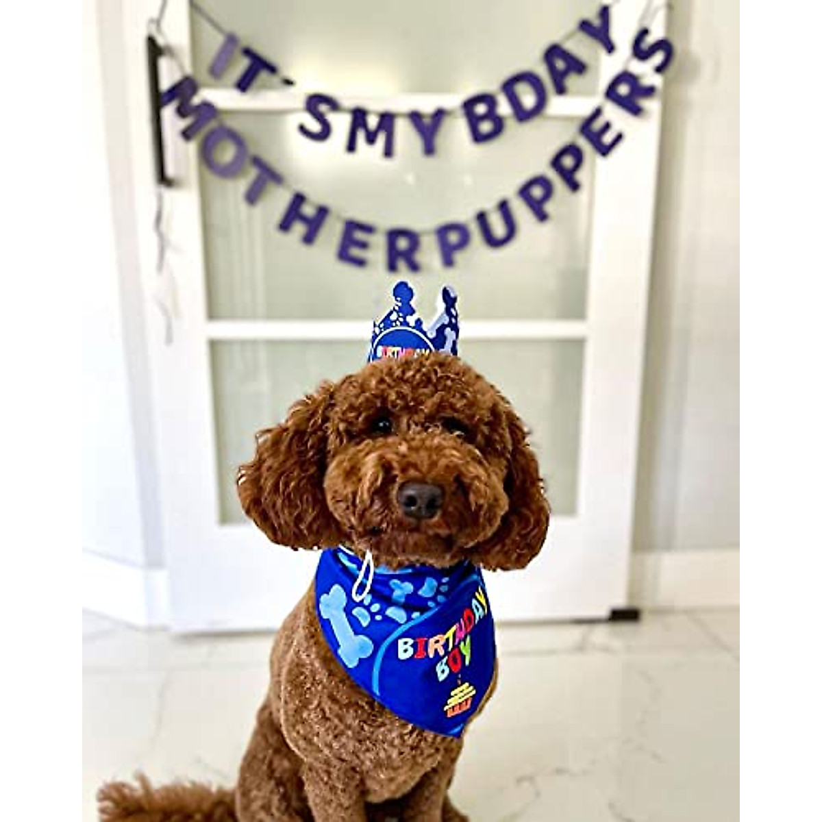 Odi Style Dog Birthday Party Supplies - Dog Birthday Bandana Set - Birthday Boy Bandana for Medium, Large Dogs, Party Hat, Crown and Cute Dog Birthday Banner with It's My Birthday Mother Puppers Sign
