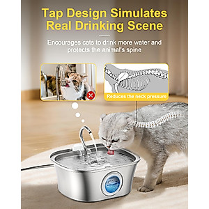Stainless Steel Cat Water Fountain, 108oz/3.2L Automatic Pet Fountain Dog Water Dispenser & Pet Water Bowl Cat Drinking Water Fountain with Ultra-Quiet Pump for Cat Feeding & Watering Supplies