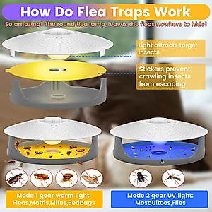 HiAnifri Flea Traps for Inside Your Home,Flea Killer for Home with Sticky Pads,Easy to Use 2 LED Light Modes Flea Light Trap for Indoor Outdoor, Effective Flea Home Treatment for House