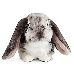 Living Nature Grey Dutch Lop Eared Rabbit, Realistic Soft Cuddly Bunny Toy, Naturli Eco-Friendly Plush, 10 Inches