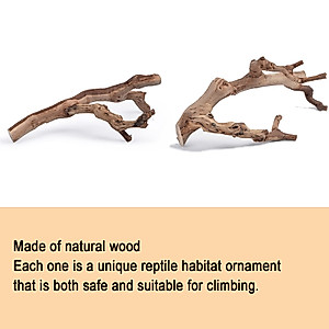 BNOSDM 2PCS Reptile Wood Branches Decor Lizard Habitat Decoration Snake Climbing Branch Accessories Terrarium Tree Trunk Ornament for Bearded Dragon Gecko Frog Chameleon Spider