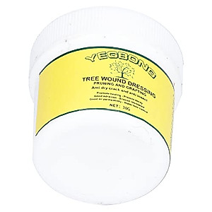 Wene Tree Wound Dressing, Tree Wound Cut Paste 30g Wound Healing Agent Stay Hydrated Bonsai Cut Paste for Garden Supplies