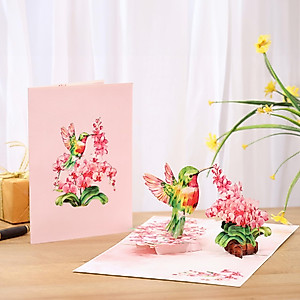 Birthday Card for Women, 3D Hummingbird Orchid Flower Pop Up Birthday Cards for Mom, Wife, Daughter, Her, Sister, Girlfriend, Grandma, Mother's day, Thank You, Anniversary, Valentine's Day Cards