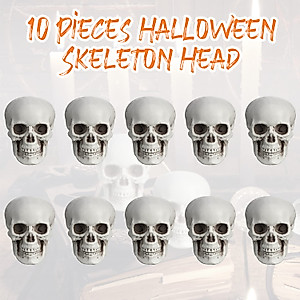 Boao 10 Pieces Halloween Skeleton Head Small Mini Skulls for Halloween Party, Halloween Decor Props, Table Decor