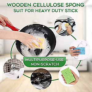 Compressed Cellulose Kitchen Sponges 12Pack，Non-Scratch Biodegradable Natural Colorful Sponge Scrub for Dishes Cleaning,Funny DIY Sponge for Kids