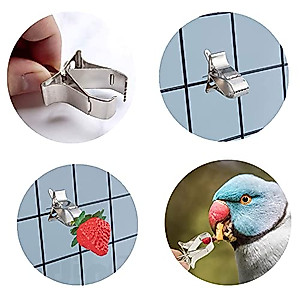 alfyng 5 PCS Bird Food Holder Set, 2pc Parrot Hanging Cage Vegetable Fruit Feeder and Clips, 1pc Bird Stand Perch, Stainless Steel Bird Treat Skewer Parrot Foraging Toy, Animal Feeding Treating Tool